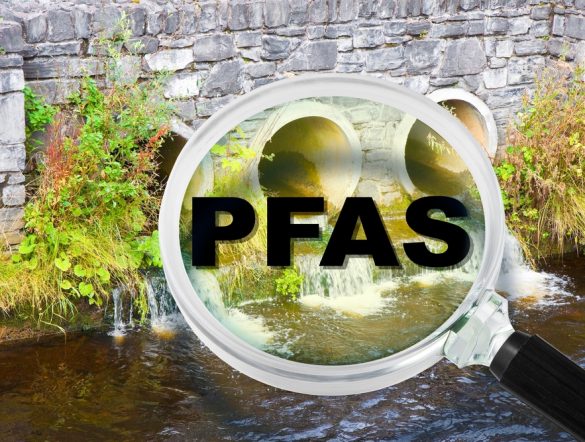 Sustainable Japan | 世界のサステナビリティ・ESG投資・SDGs